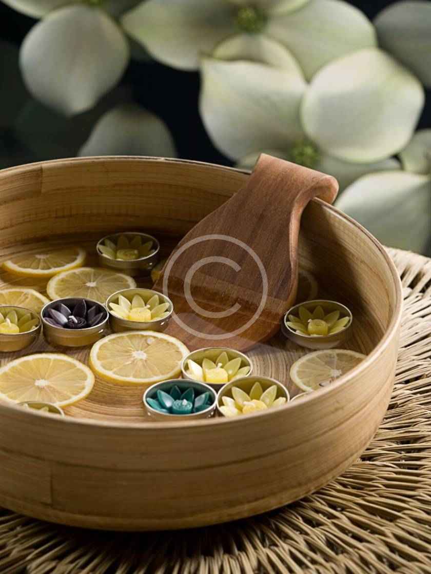 About Us – Therapy Vibes